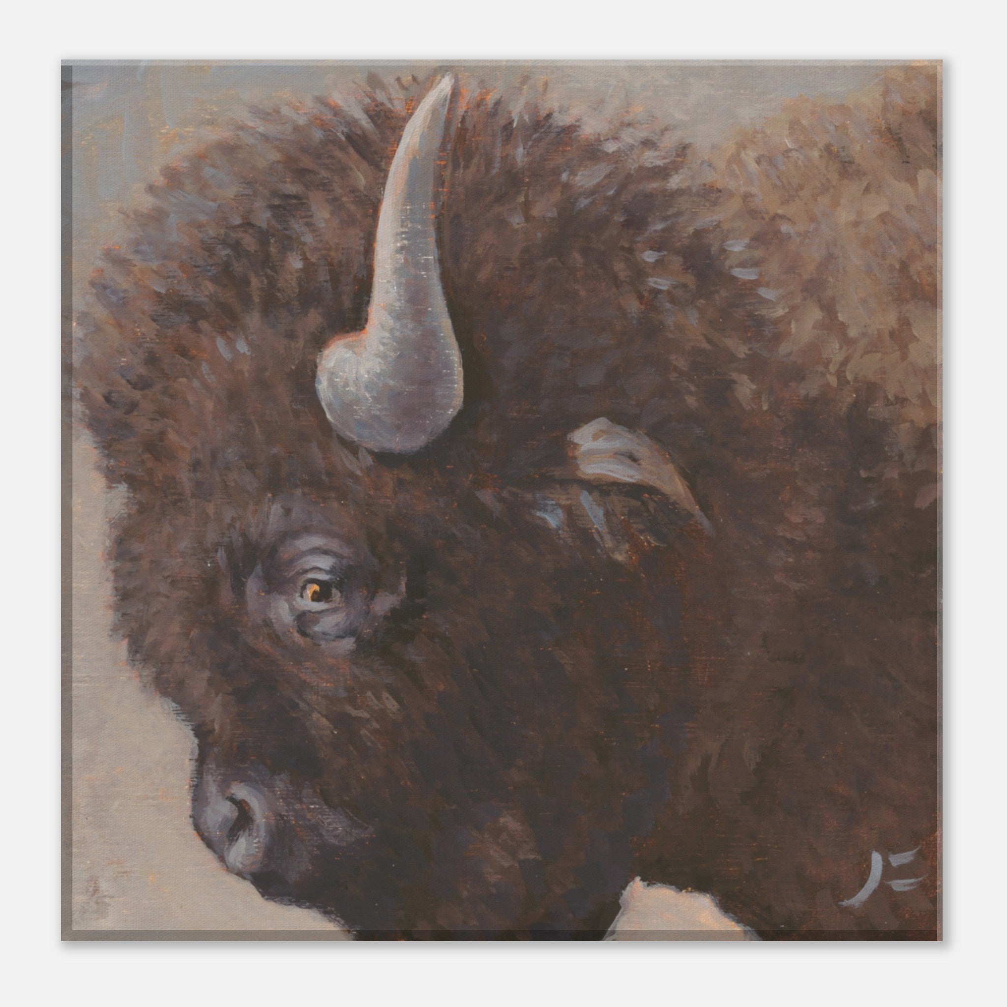 AMERICAN BISON