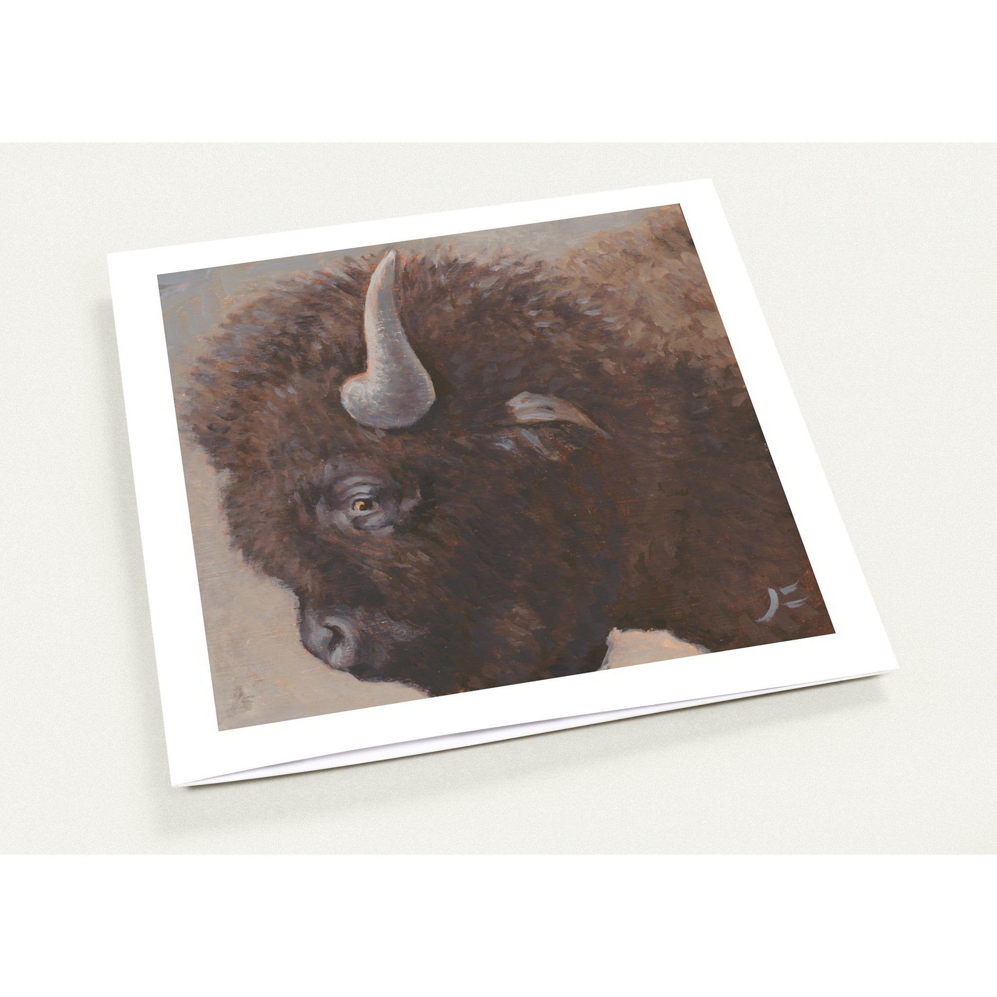 AMERICAN BISON